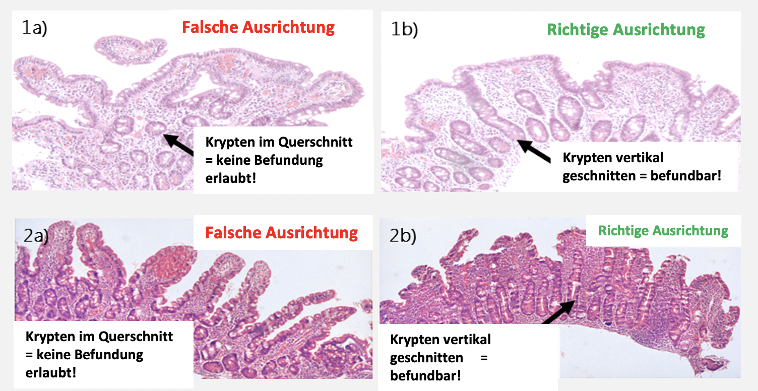 Online-Kurse für Ärzte und Ernährungsberater: Thema 3: Diagnose der ...