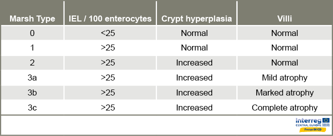 Online Course "Celiac Facts" for Physicians & Dietitians: Lesson 3 ...